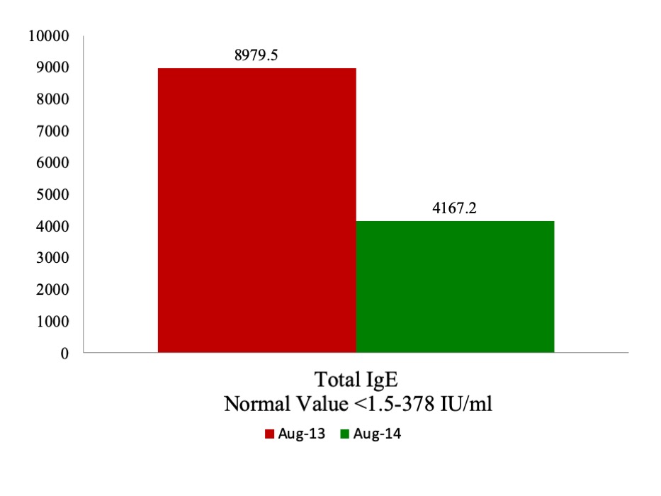 SOUKYA - World's Best Holistic Health Centre - Authentic Ayurveda